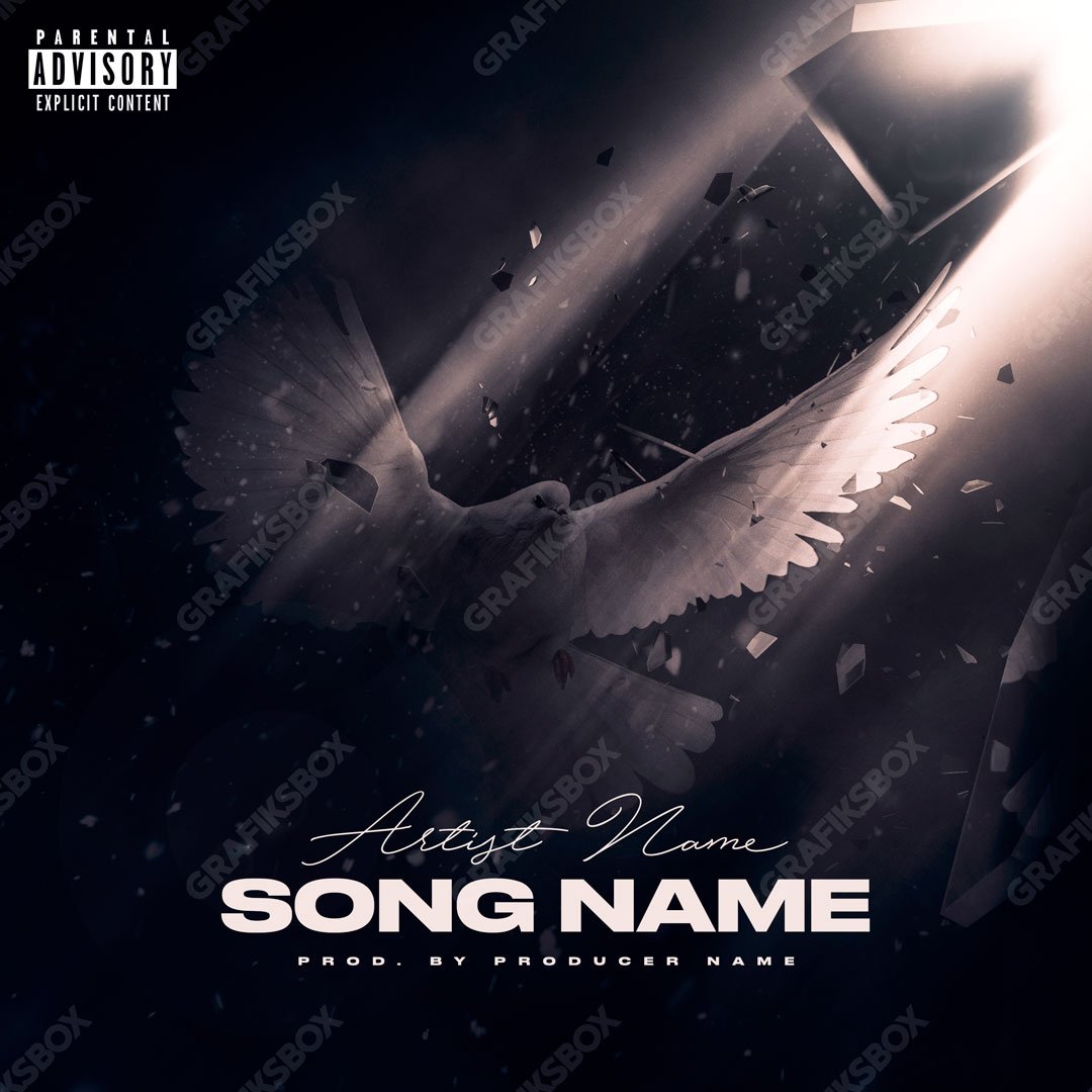 EXIT Cover Art - Grafiksbox Premade Covers